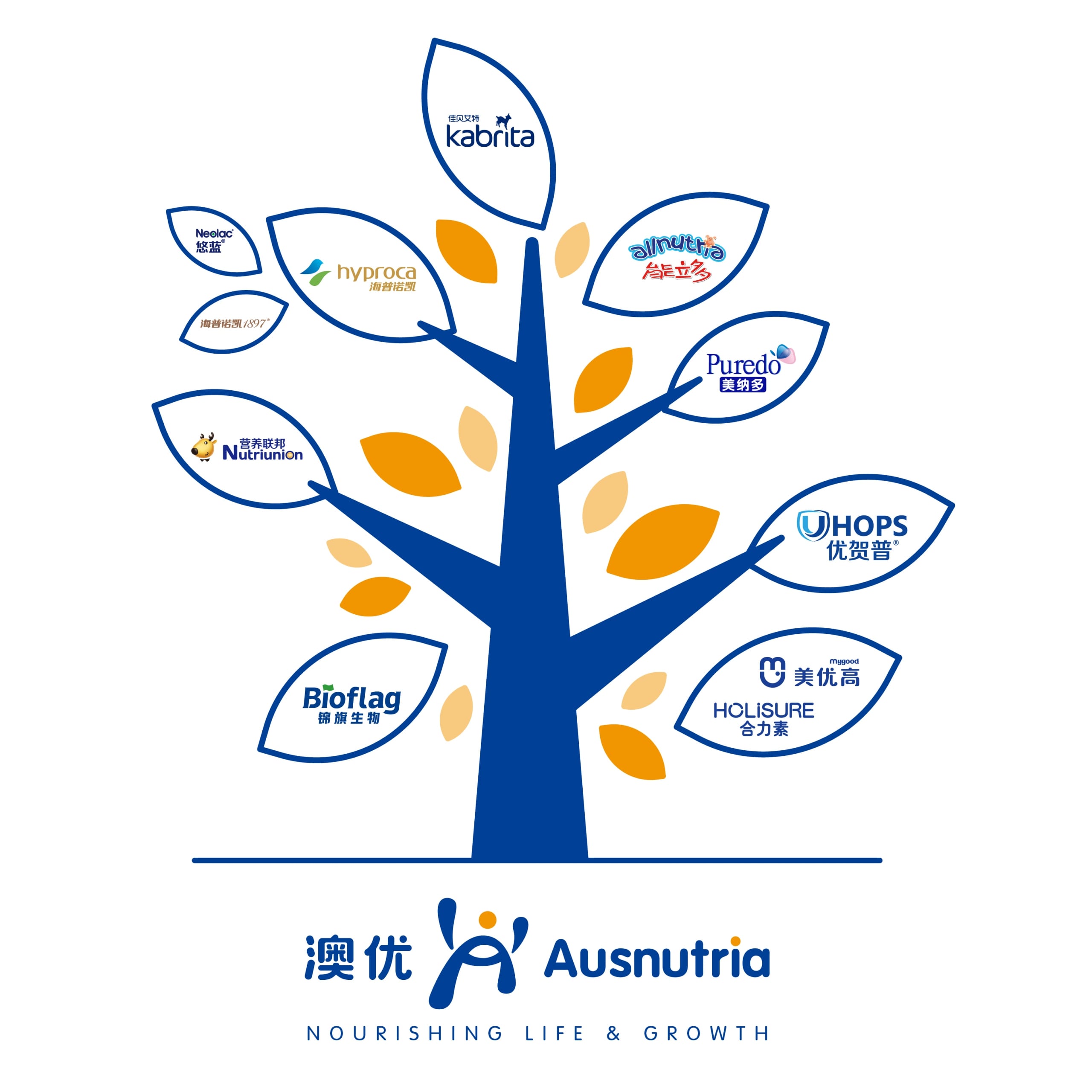 About us – Ausnutria Nutrition Institute