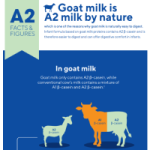 Kabrita is A2 milk by nature - Ausnutria Nutrition Institute