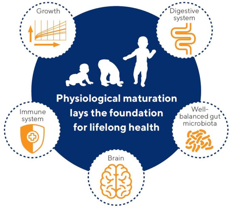 Gentle nutrition for natural growth and development of infants ...